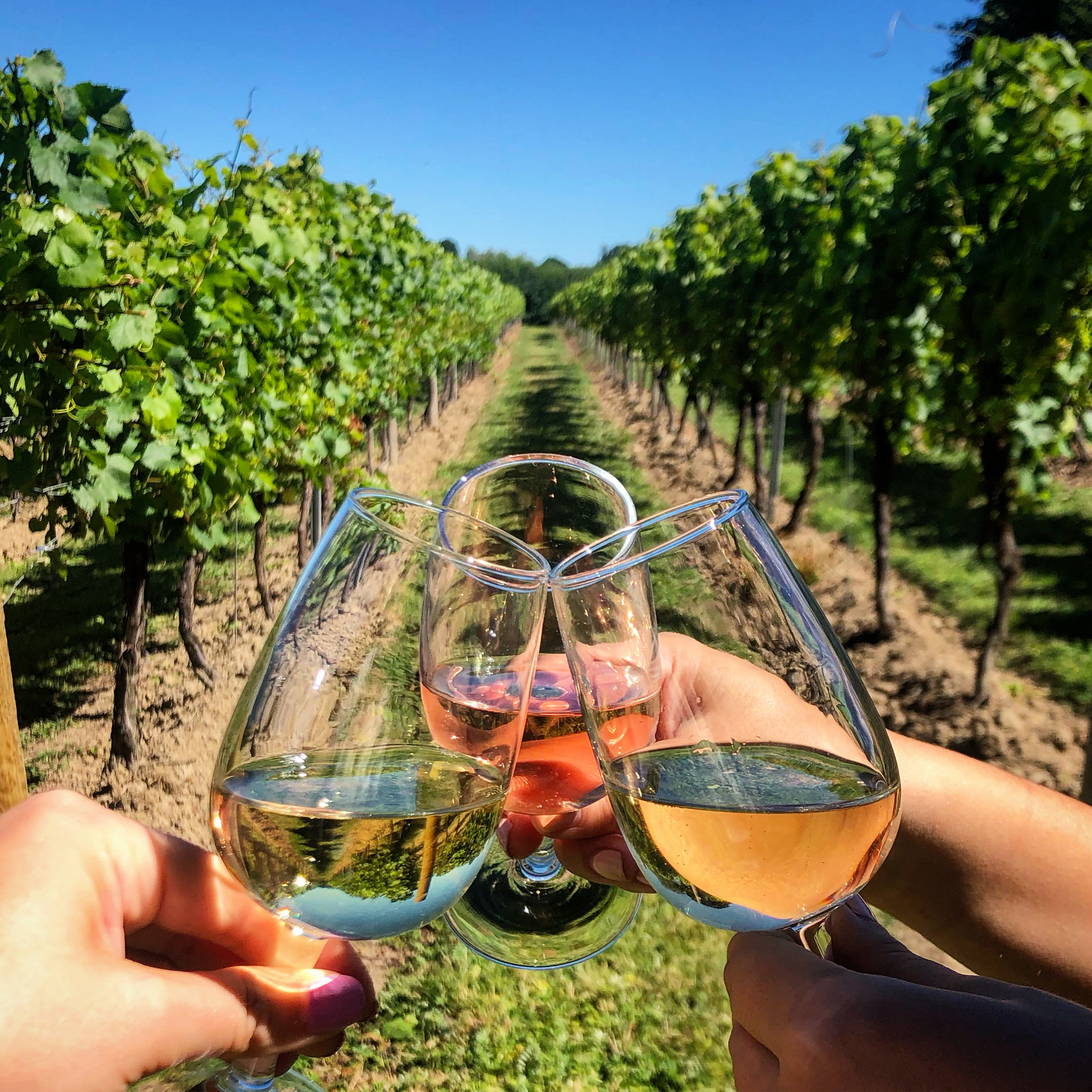Wine Tour Breaks In Kent | The Holiday Cottage Collection